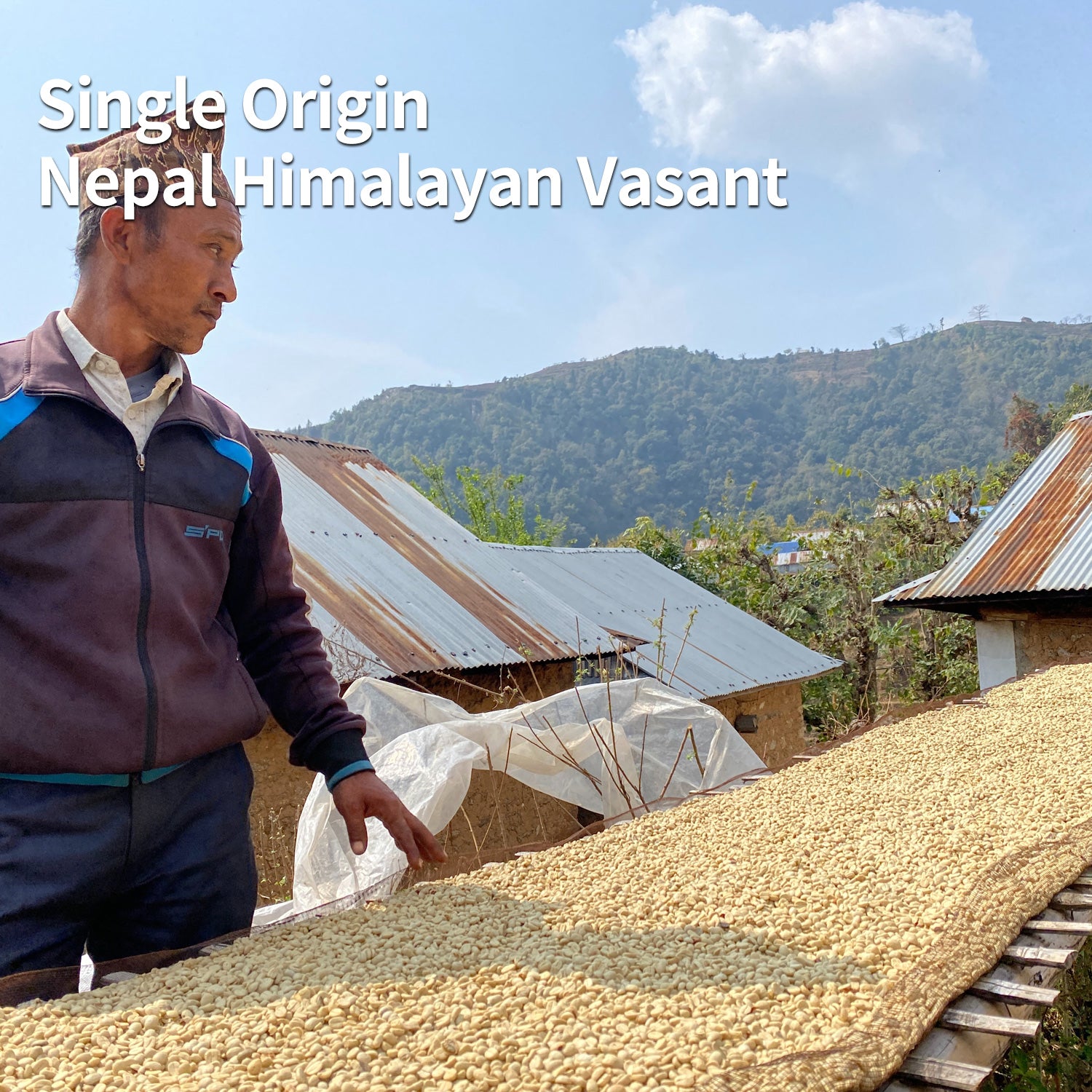 SINGLE ORIGIN – Un Cafe Sucre Online Shop